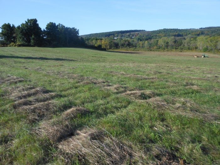 The Eastern Region - The Archaeological Conservancy