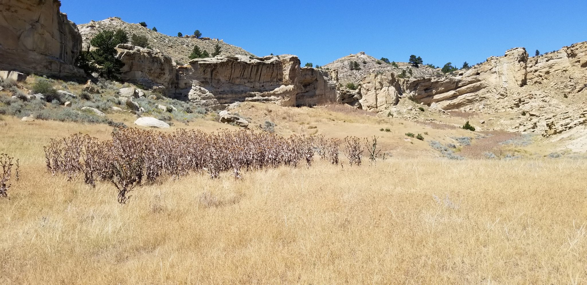 Teapot Dome - The Archaeological Conservancy
