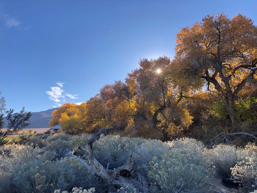 Portuguese Bench - The Archaeological Conservancy
