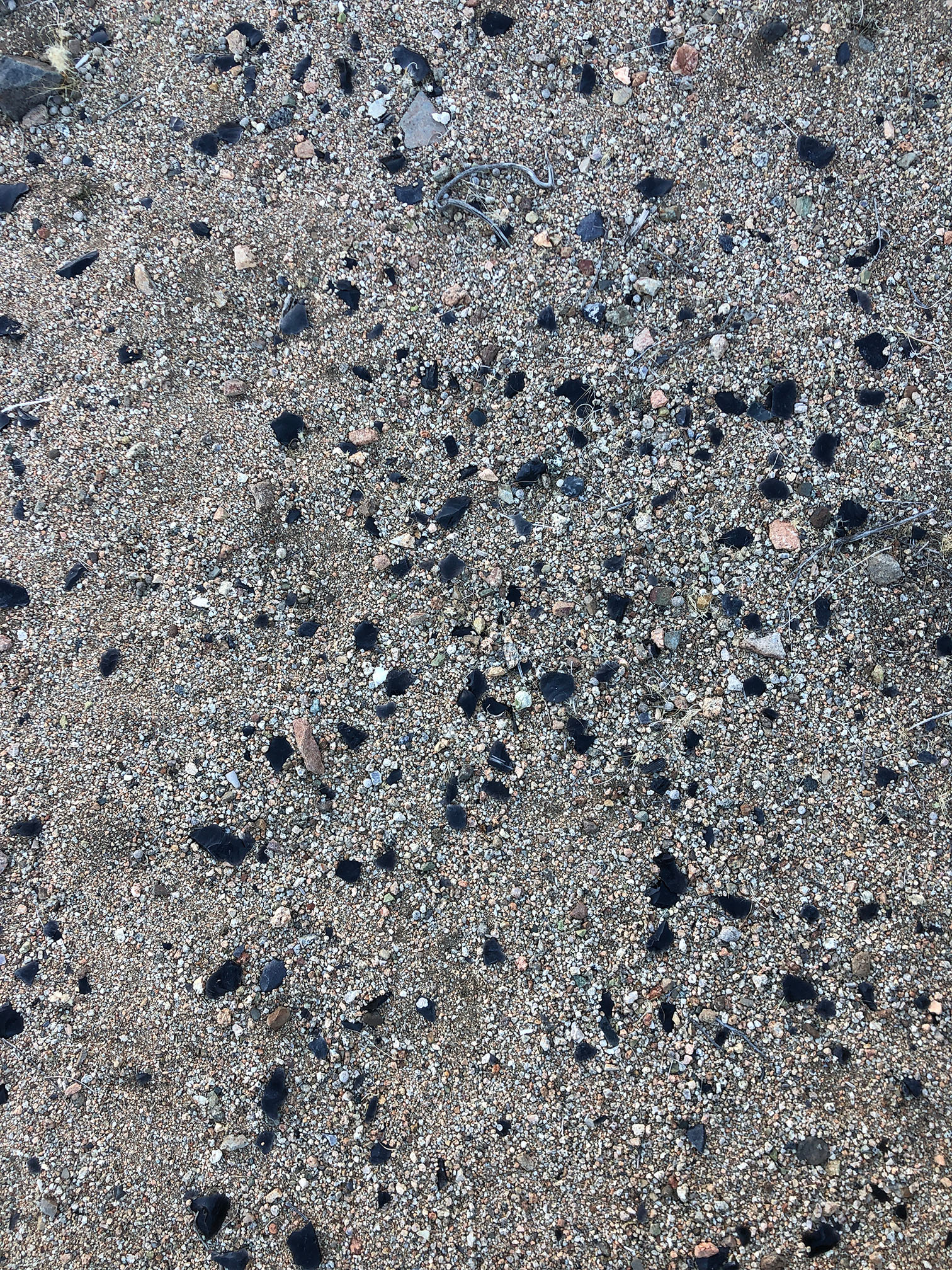 Portuguese Bench - The Archaeological Conservancy